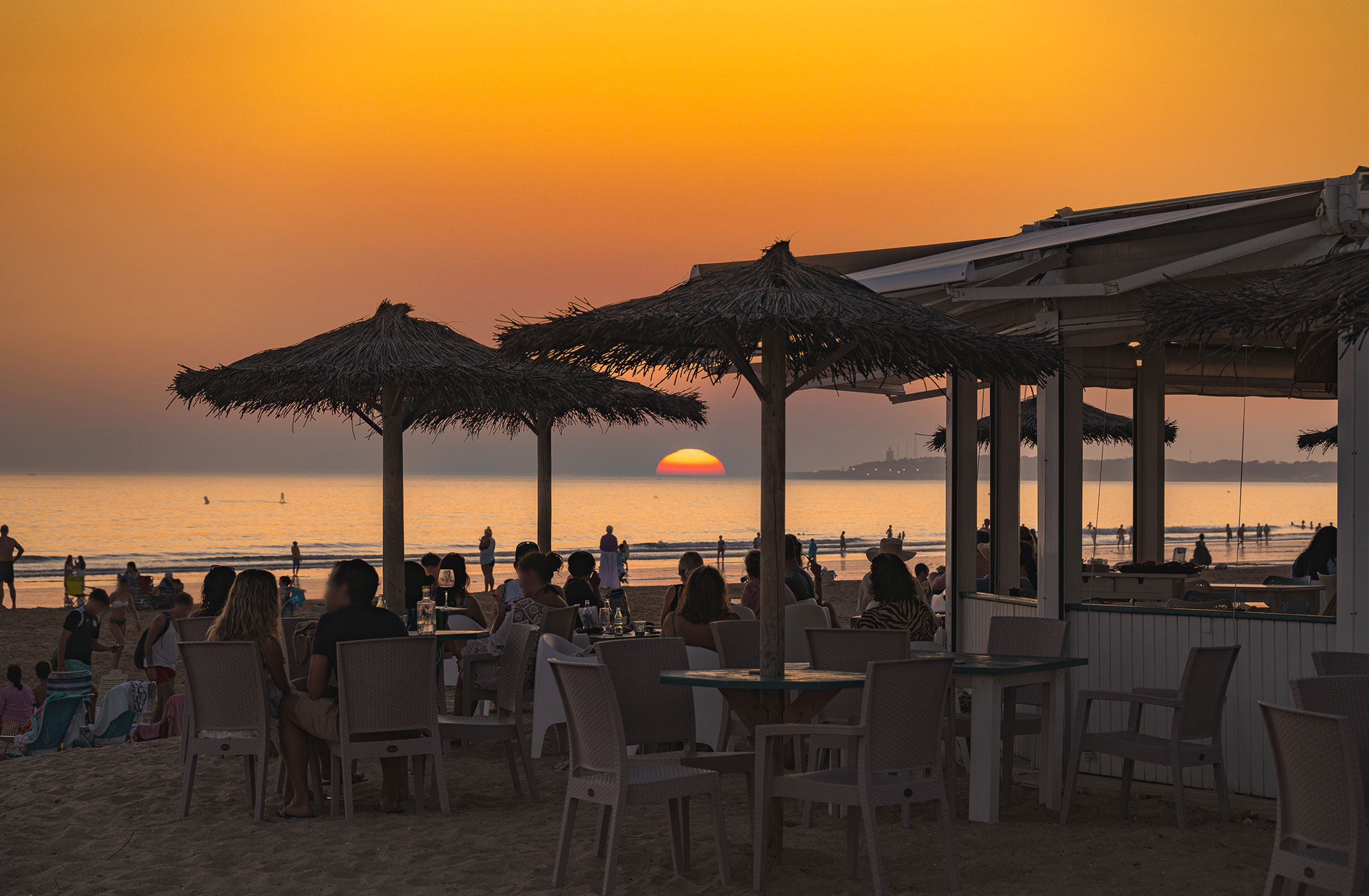 Daia Beach Bar: Sabores gaditanos junto al mar