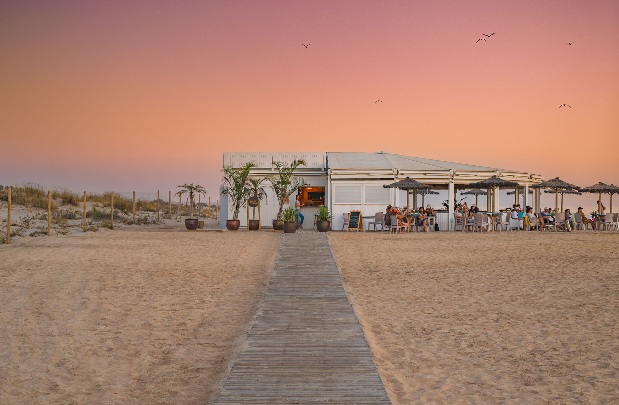 Daia Beach Bar: Cádiz-Style cuisine by the sea